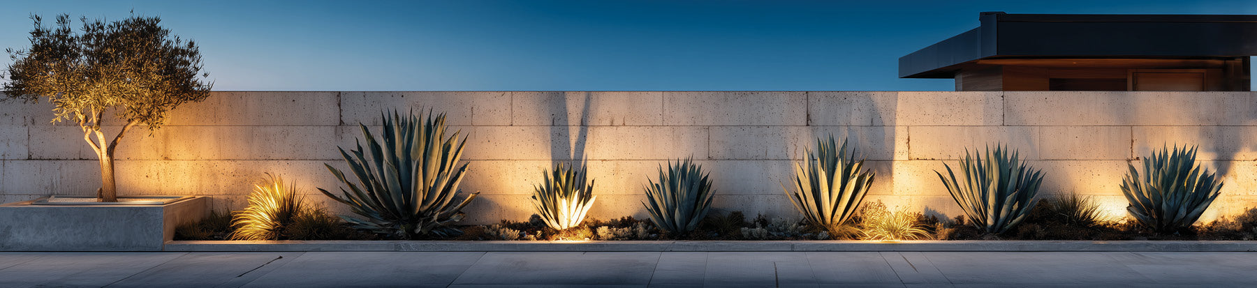 Shrub & Tree Up-lighting