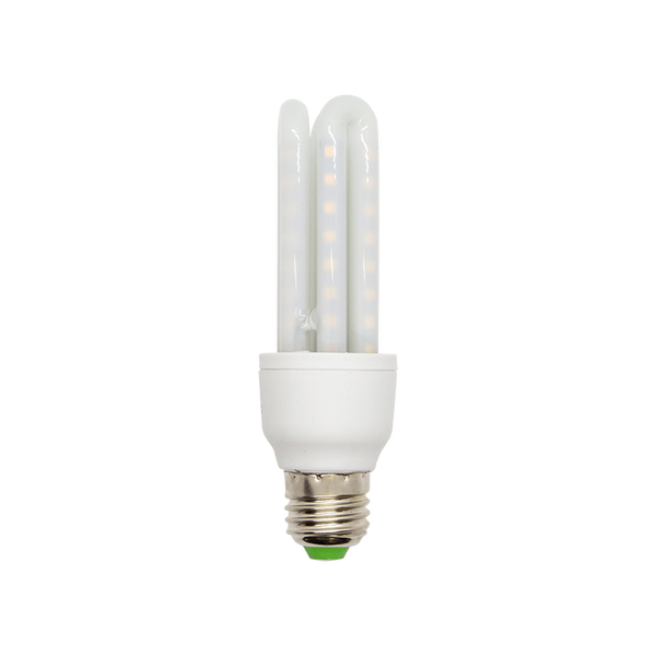 Shop LED Globes for Any Fixture | Zebbies Lighting | Free Delivery