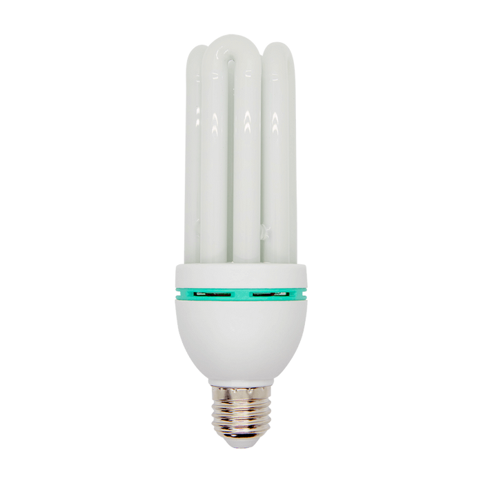 Shop LED Globes for Any Fixture | Zebbies Lighting | Free Delivery
