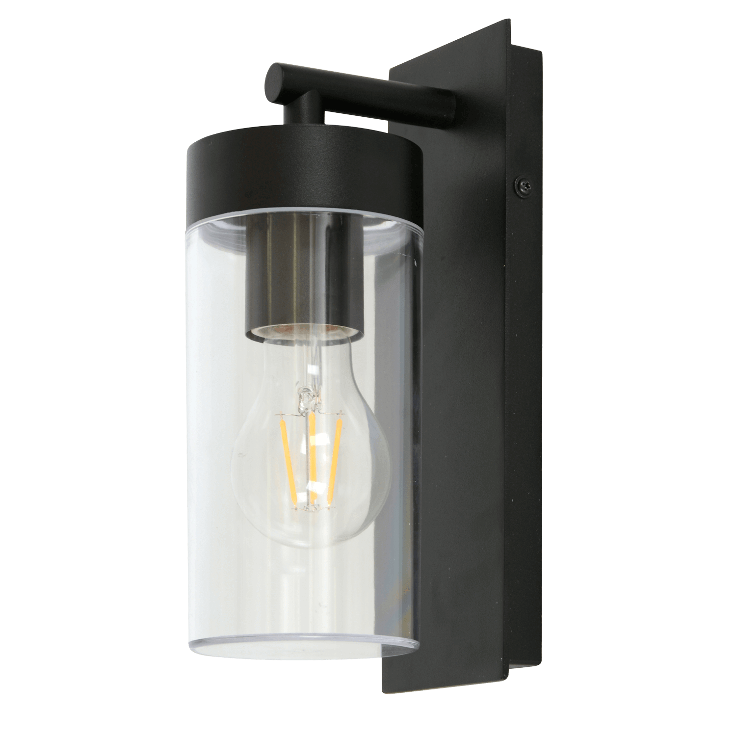 Aruba Black Outdoor Wall Light with a Clear Plastic cover