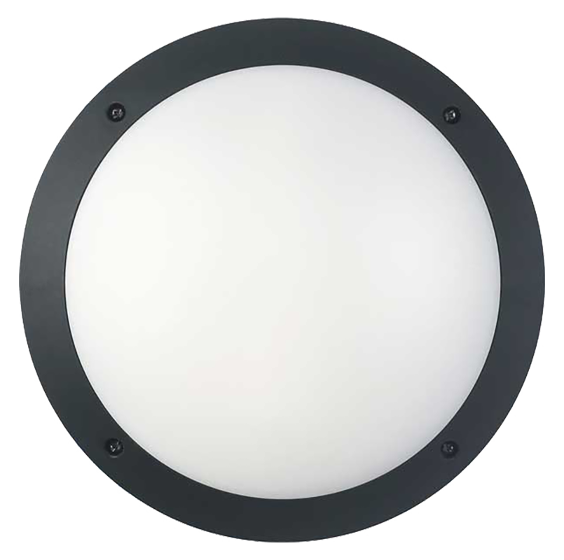 Berta Black Resin Outdoor Bulkhead for Outdoor Light