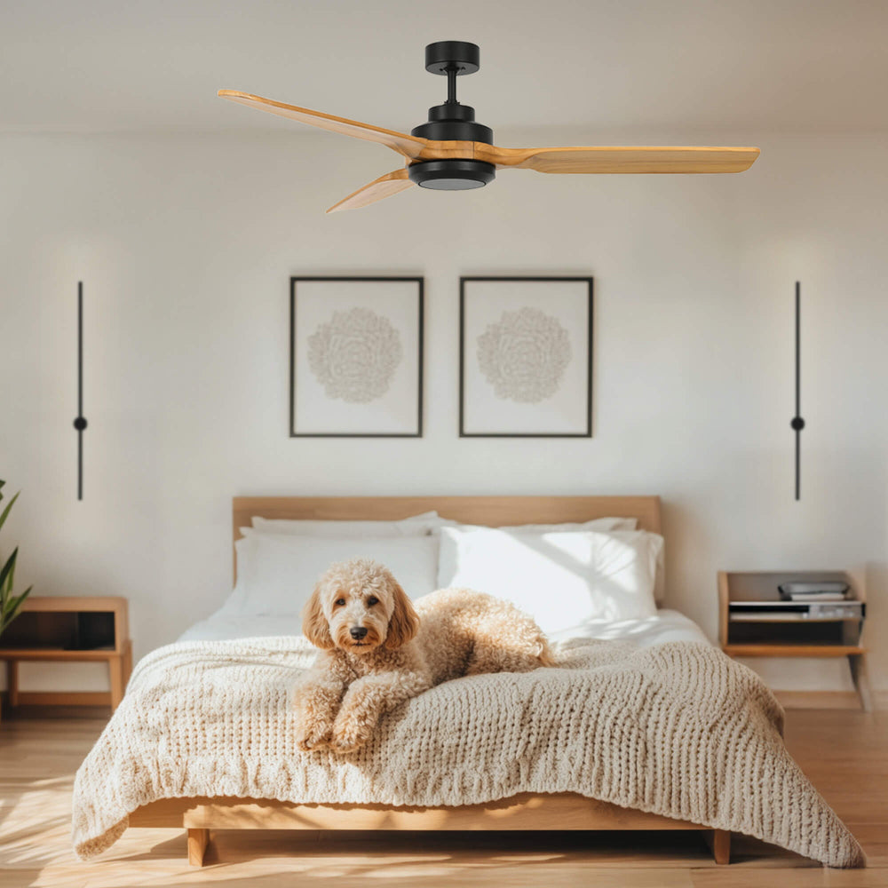 Cardinal Black AC Ceiling Fan| Natural Paulownia Wood Blades | Zebbies