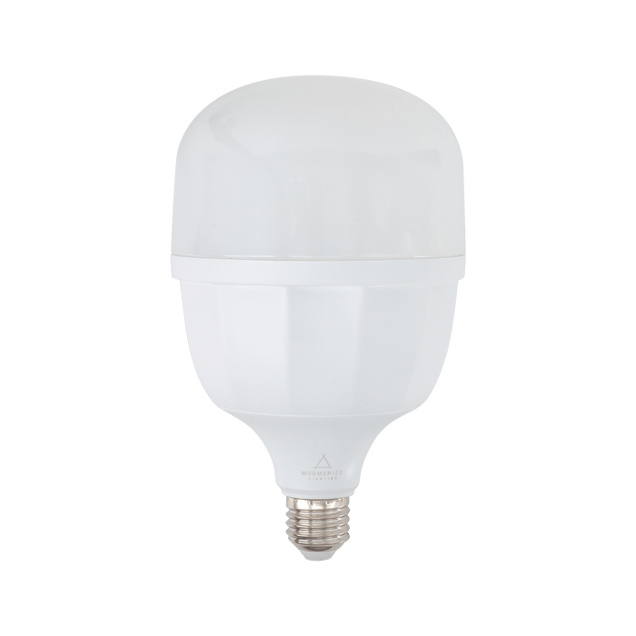 Heavy Duty 40W ES/E27 Daylight LED Globe | 4000lm | Zebbies