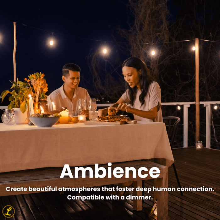 Solar Lights for Home & Outdoor | Zebbies Lighting