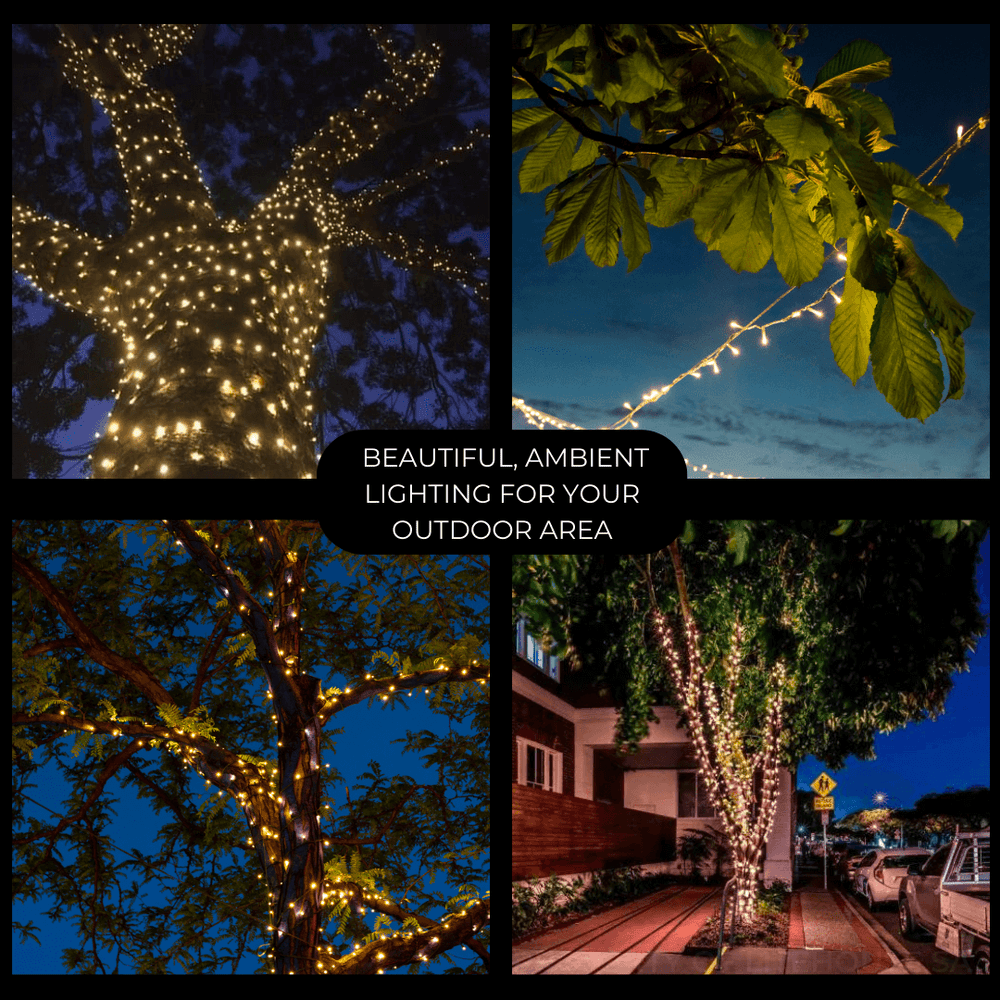 10M Black Solar LED Fairy Lights | 100 Warm White LEDs | Zebbies