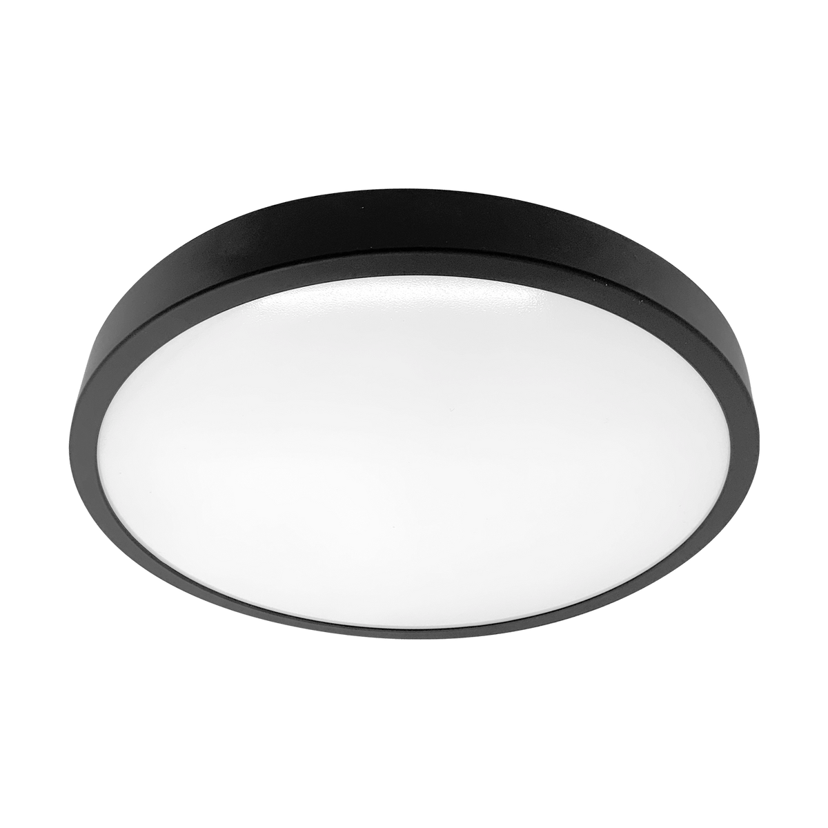 Trinity 18W Integrated LED Ceiling Light with Black Rim