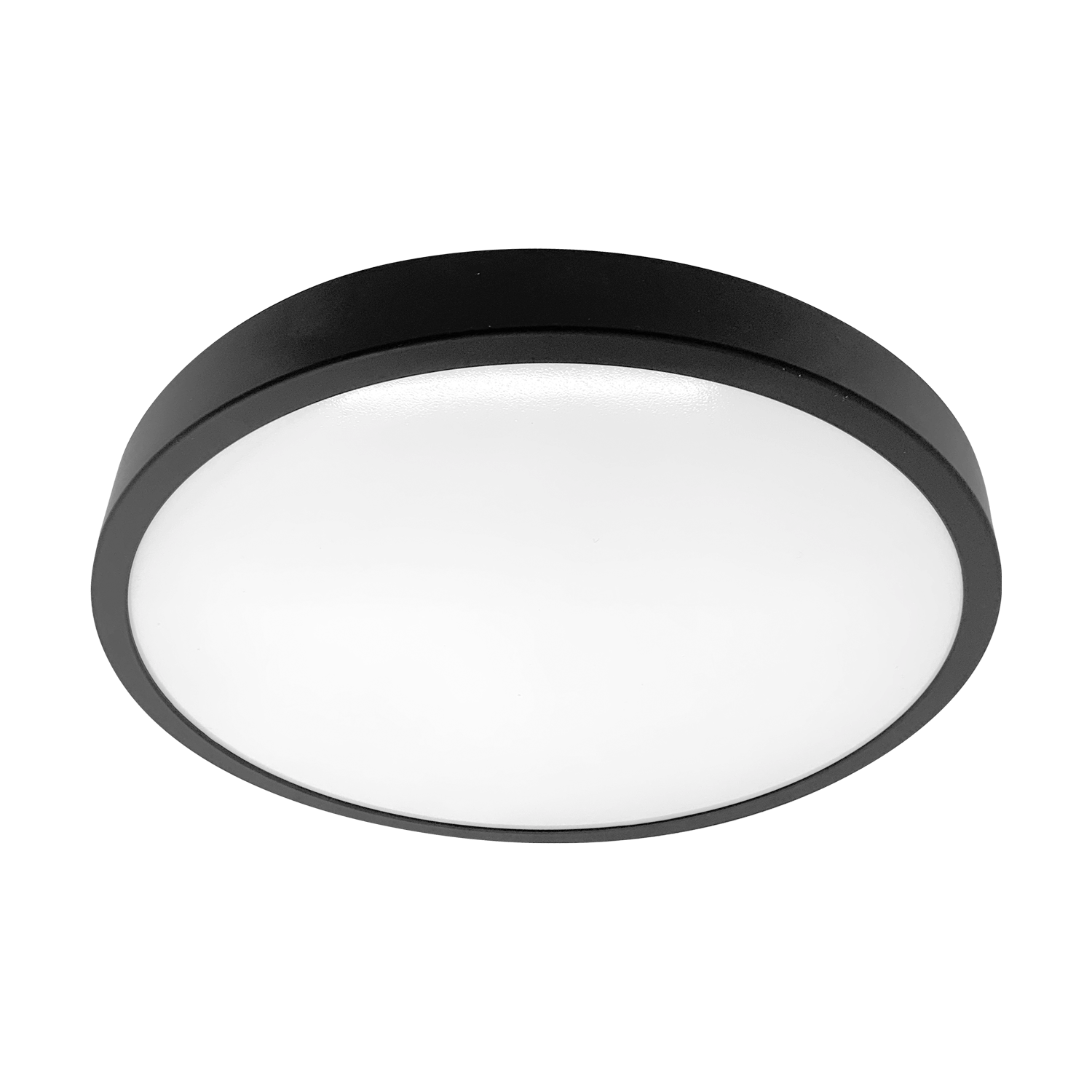 Trinity 24W Integrated LED Ceiling Light with Black Trim